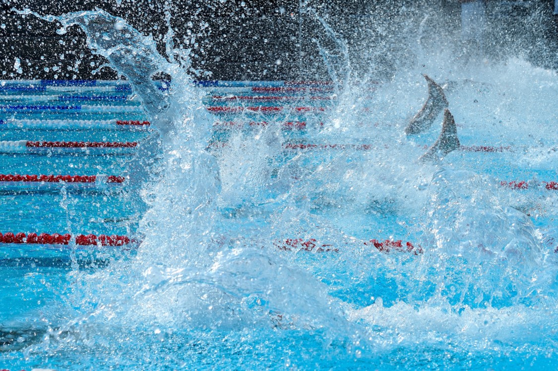 Swimrankings | Swimstats - Swiss Aquatics